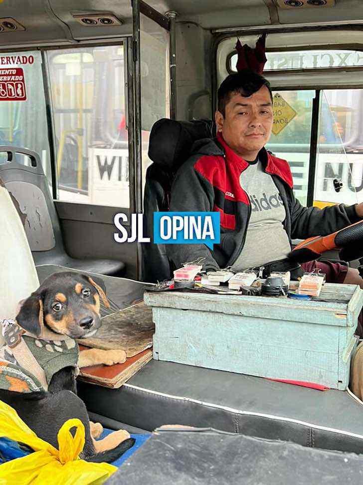 "Es familia": Chofer realiza su recorrido en compañía de su perrito para no dejarlo solo en casa ...