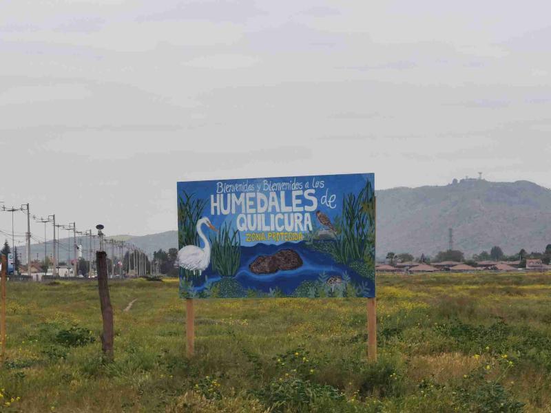 Influencer chilena llama a cuidar el humedal urbano de Quilicura