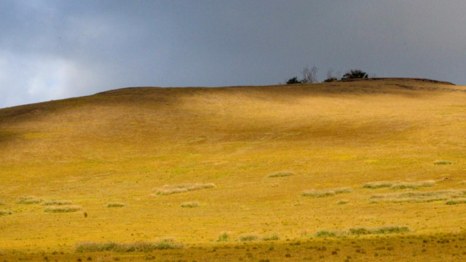 Una tarde en el Poike, el volcán más antiguo de Isla de Pascua
