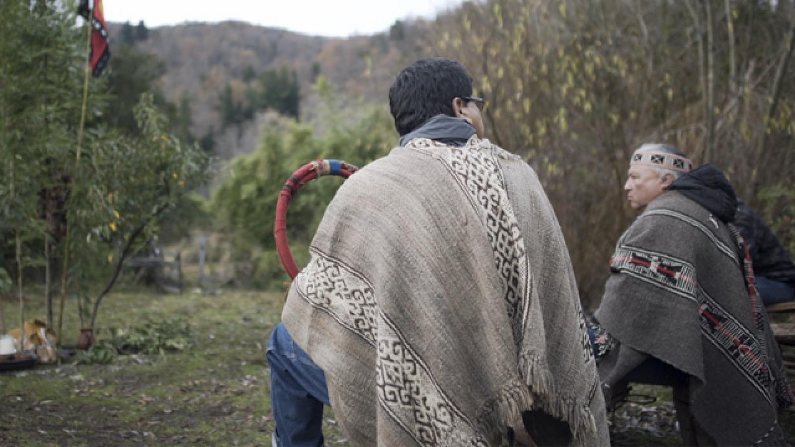 Conociendo el Purrun mapuche
