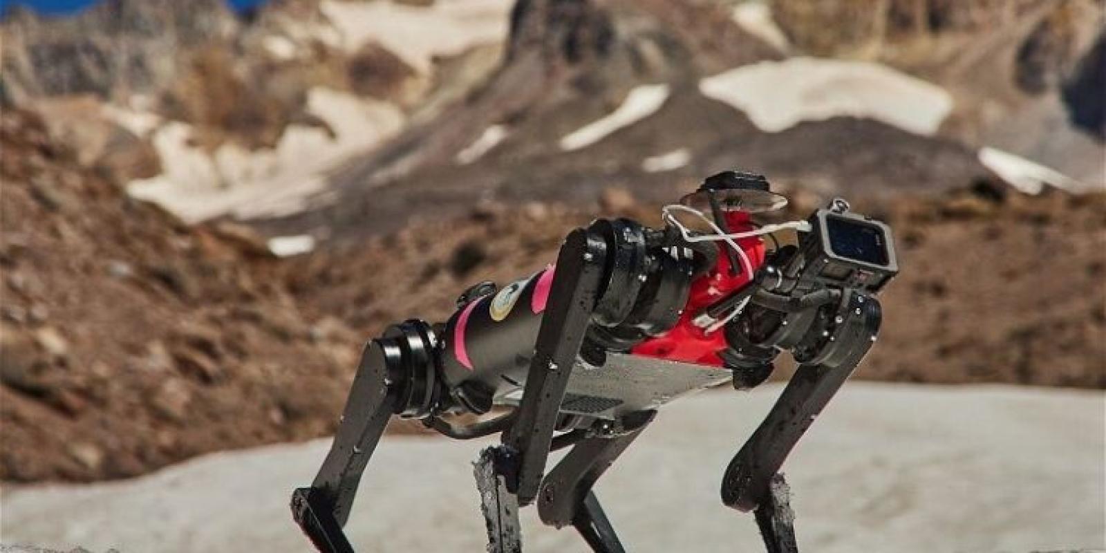 Spirit, el perro robot entrenado para caminar sobre exoplanetas