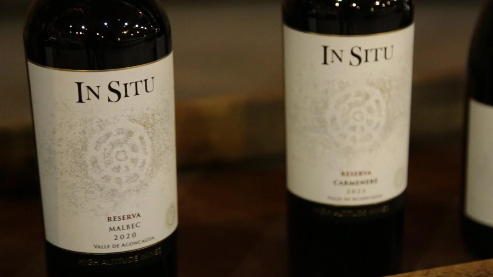 Conoce la viña In Situ del Valle de Aconcagua