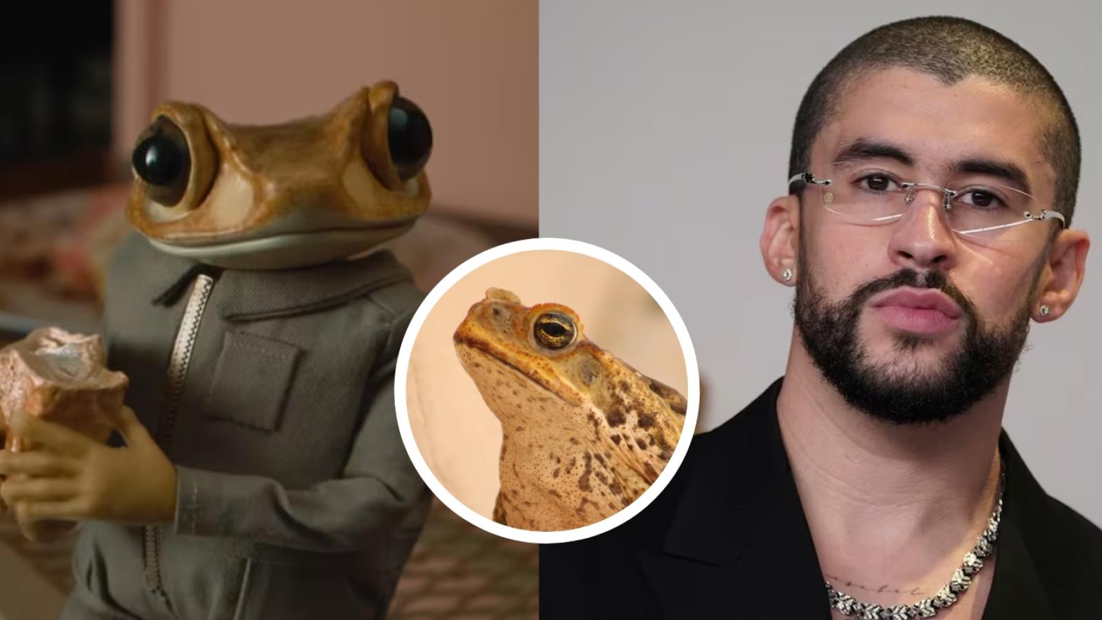 Concho: Conoce el sapo en peligro de extinción que aparece en el nuevo ...