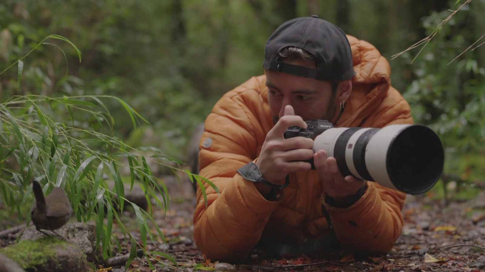 “Paraíso Wild”: Javier Mery debuta en 13C con una travesía por la ...