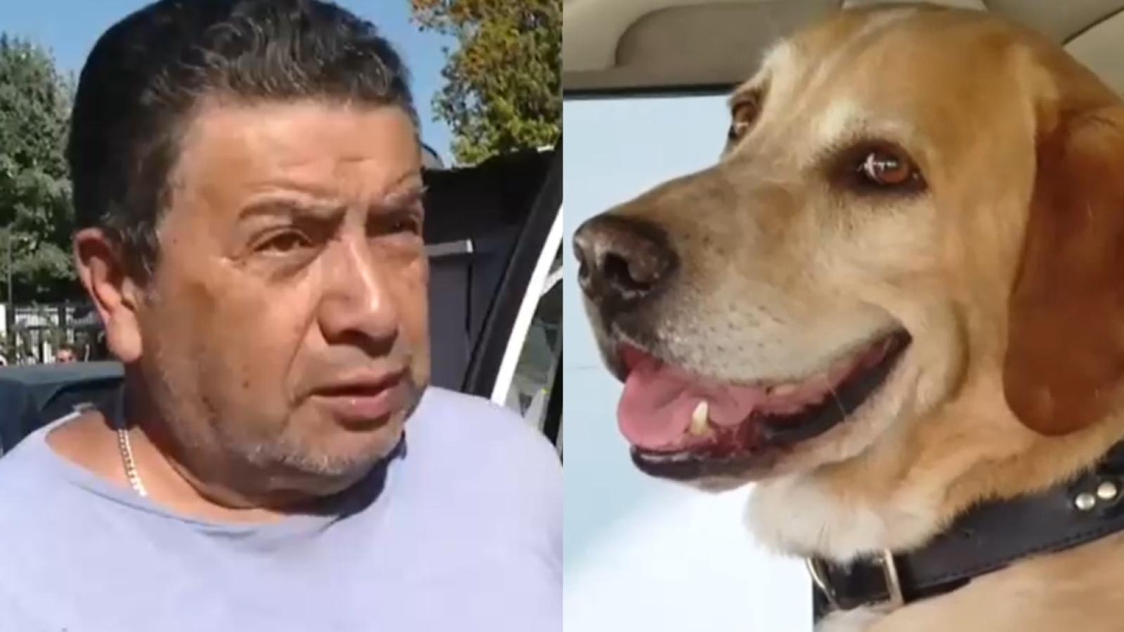Se escapó su perro, salió a buscarlo y le quitaron el auto en ...