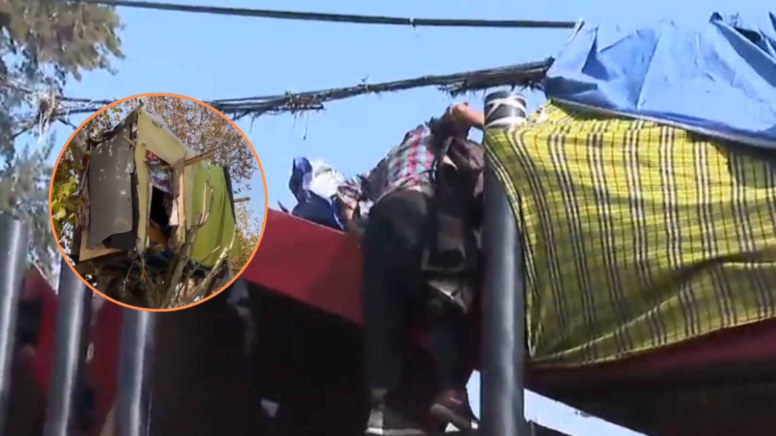 Arriba de árboles y paraderos: Nuevos rucos en distintas parte de ...