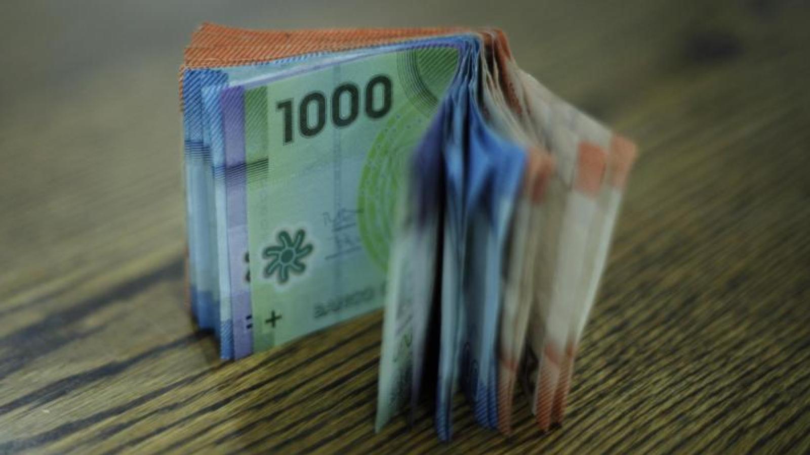 Revisa con tu RUT si eres beneficiario del Bono de Invierno 2026 | 13.cl