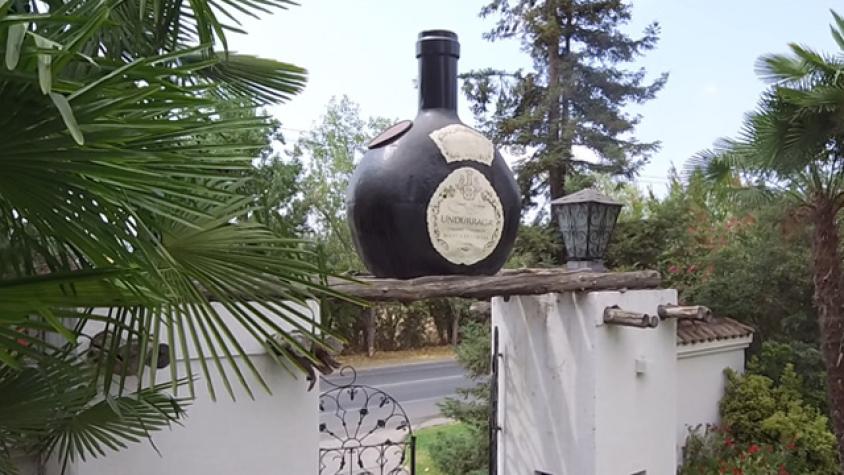 Viña Undurraga en la actualidad