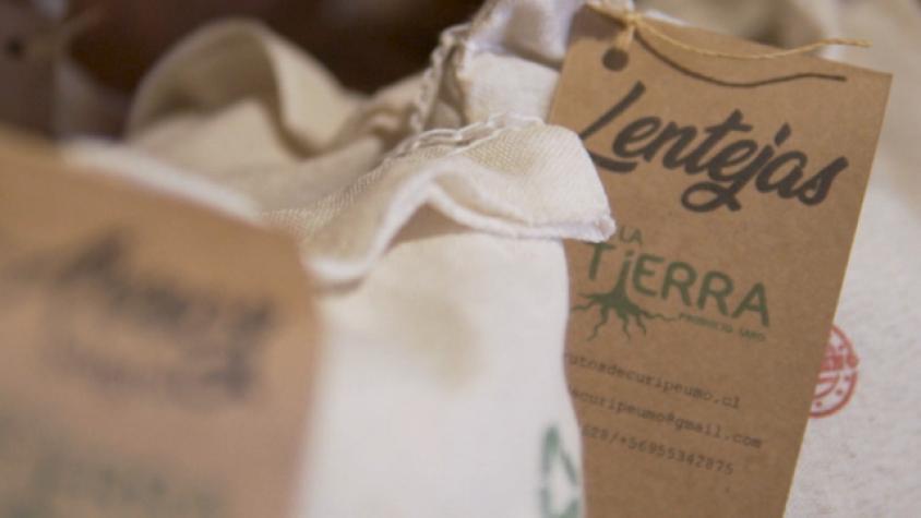 ¿Qué es La Cucha de Puerto Varas?