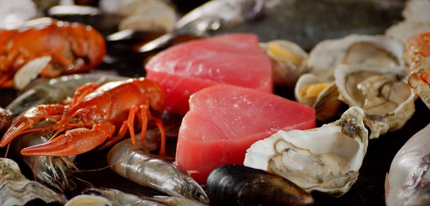 Gran estreno de “Seafood lovers”: ¡Para los amantes de la comida del mar!