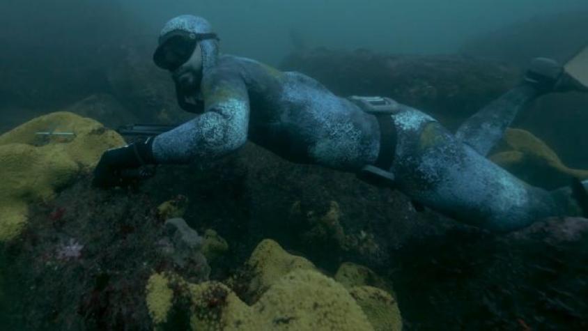 Técnicas de buceo en apnea y pesca submarina en costas valdivianas