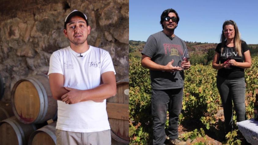 Descubre los inicios de la Viña Tres C y la Viña Peroli | 13C